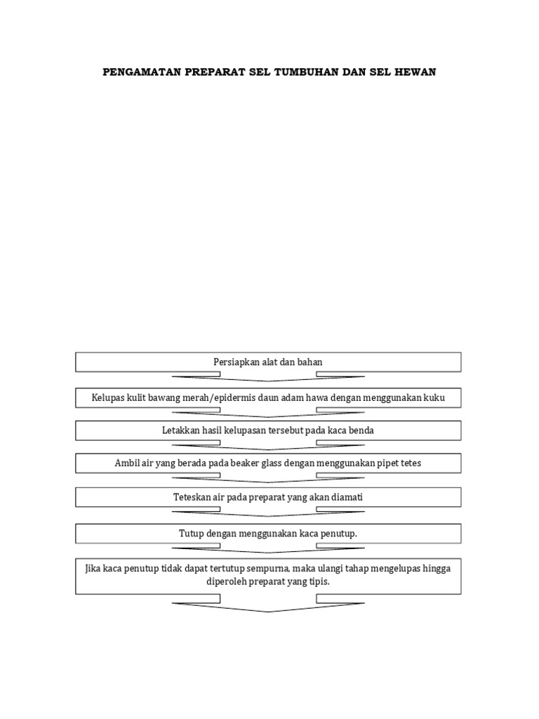Contoh Laporan Praktikum Pengamatan Preparat Sel Tumbuhan Dan Sel Hewan ...