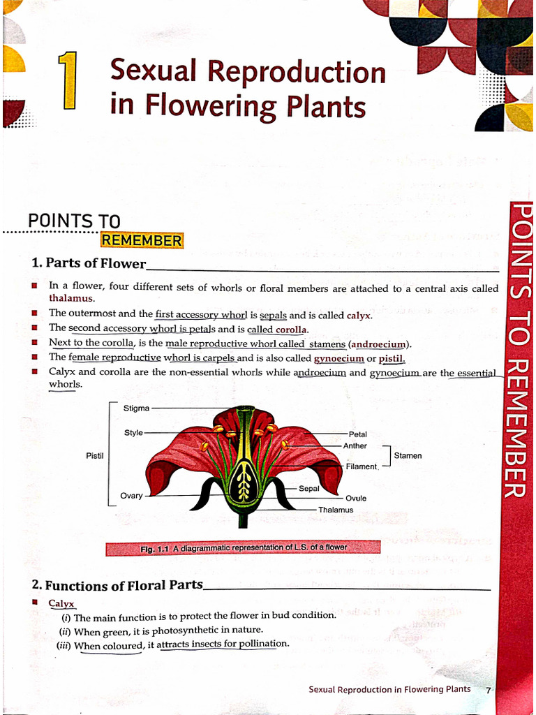 Botany Boards | PDF