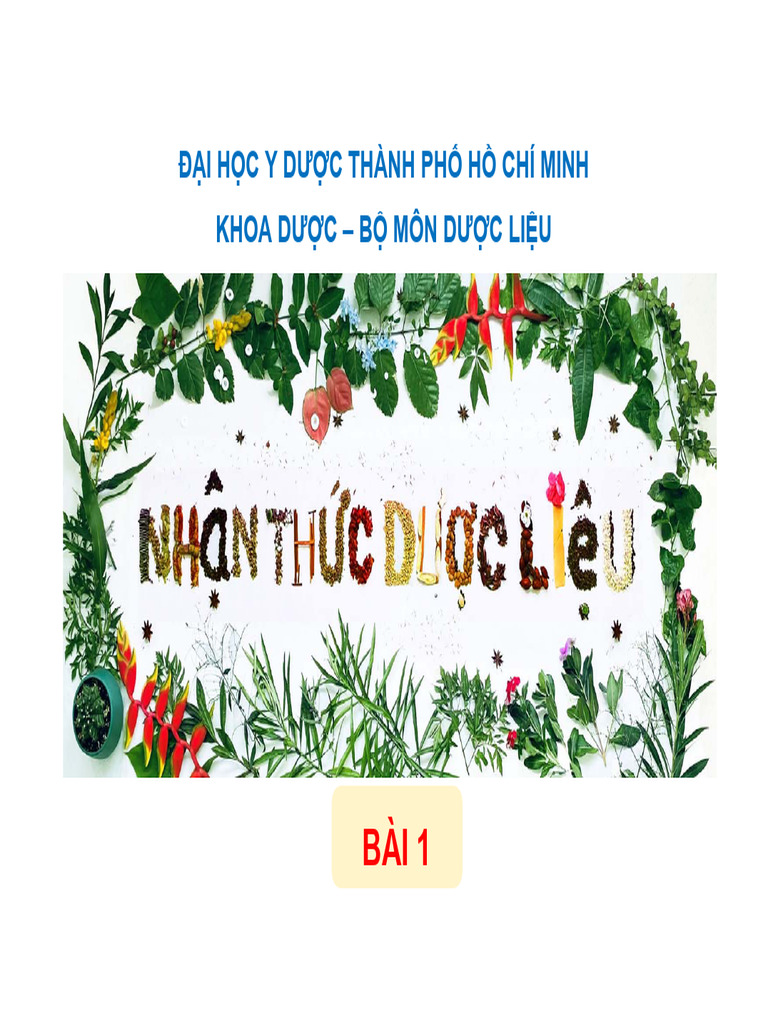 2024 - NTDL Bai 1 | PDF