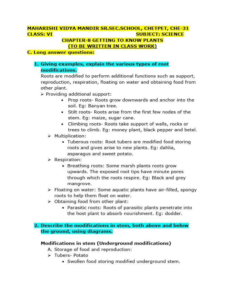 STD Vi LN-8 CW Long Answer Material | PDF | Flowers | Plants