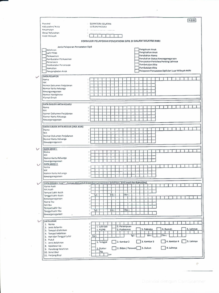 Formulir Akta Kelahiran | PDF