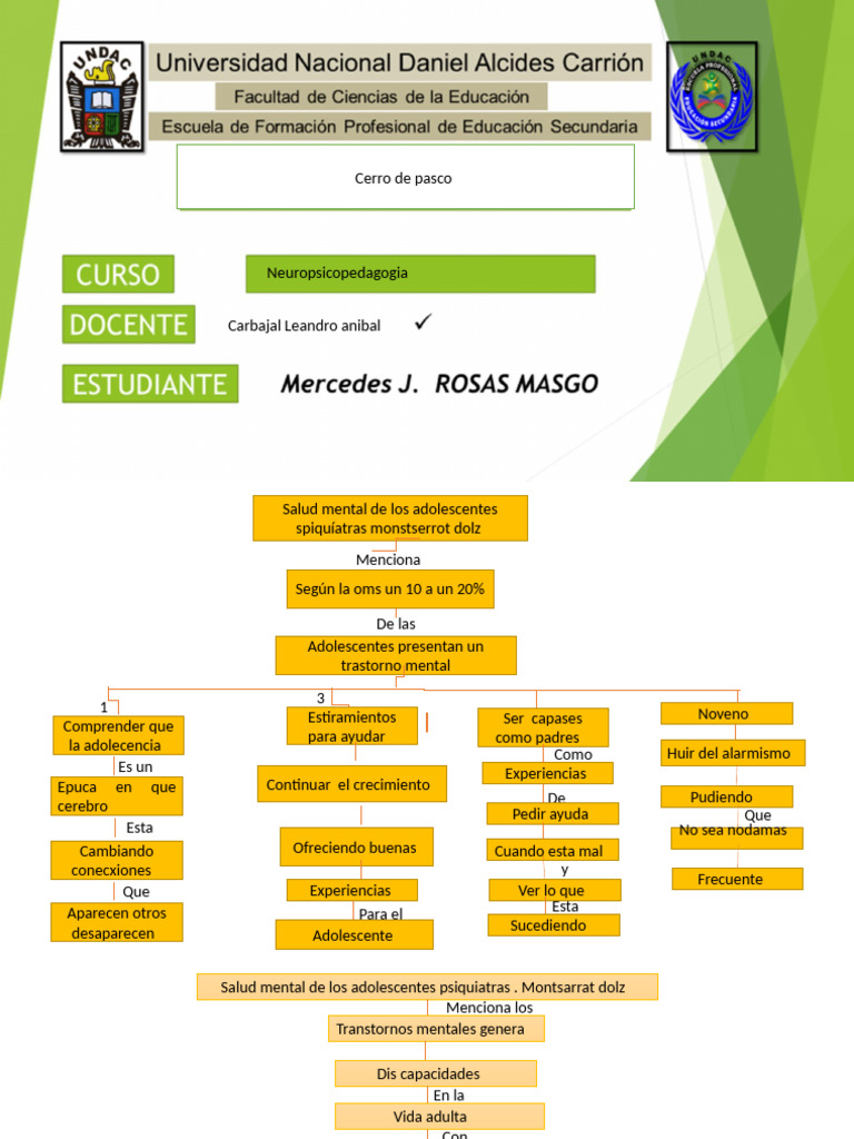Adolecentes Meche | PDF | Salud mental | Adolescencia