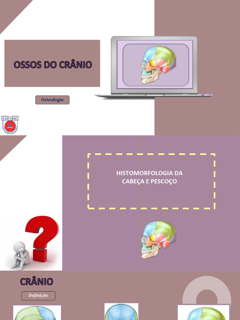 Osteologia - Ossos - CrÃ Nio - Face - CorreÃ Ã o | PDF | Coluna vertebral | Crânio