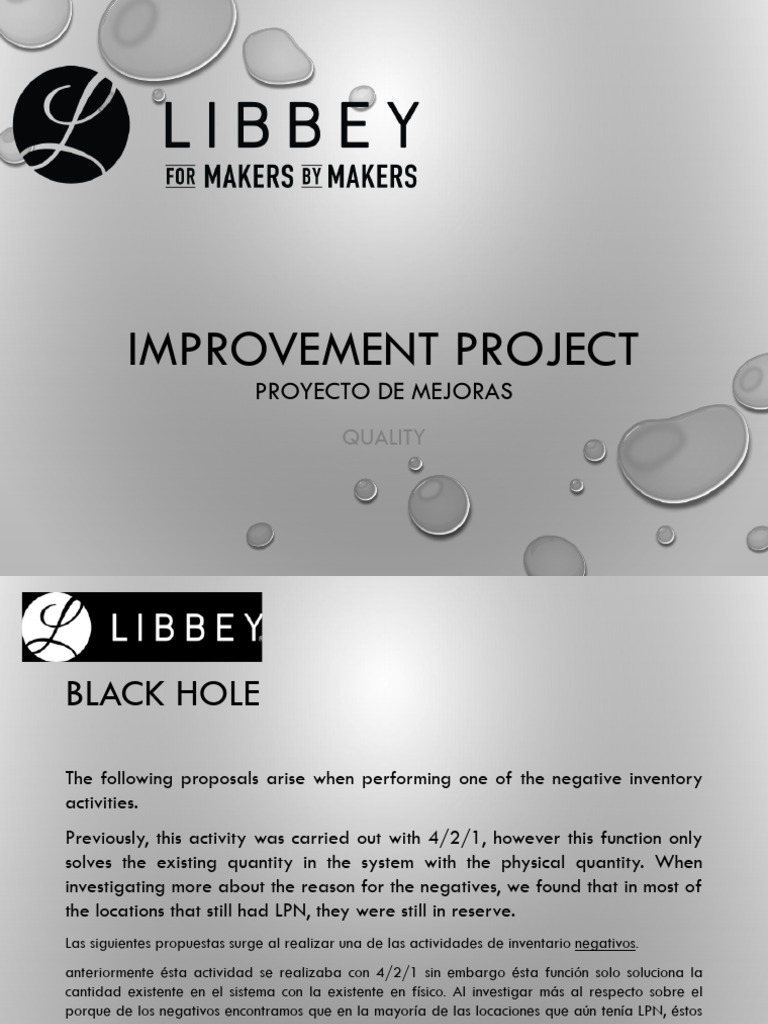 Improvement Project Inventory | PDF