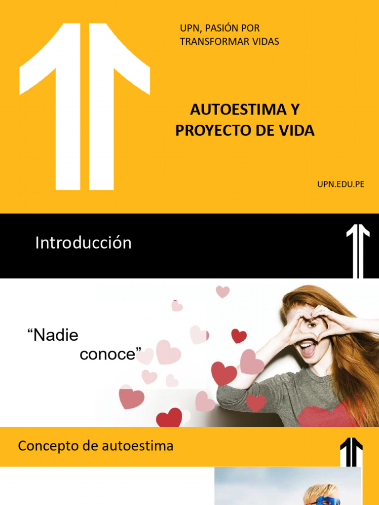 Formato De Proyecto De Vida Y Autoestima Pdf Autoestima Conceptos