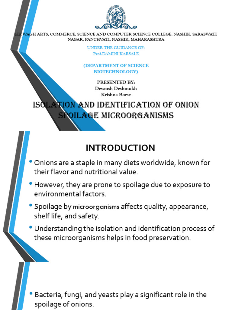 Isolation and Identification of Onion Spoilage Microorganisms | PDF ...