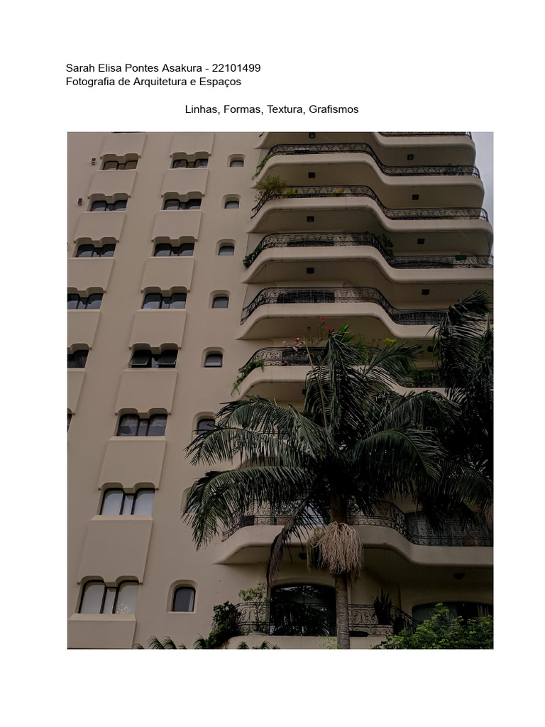 Edifícios - Sarah Elisa Pontes Asakura | PDF