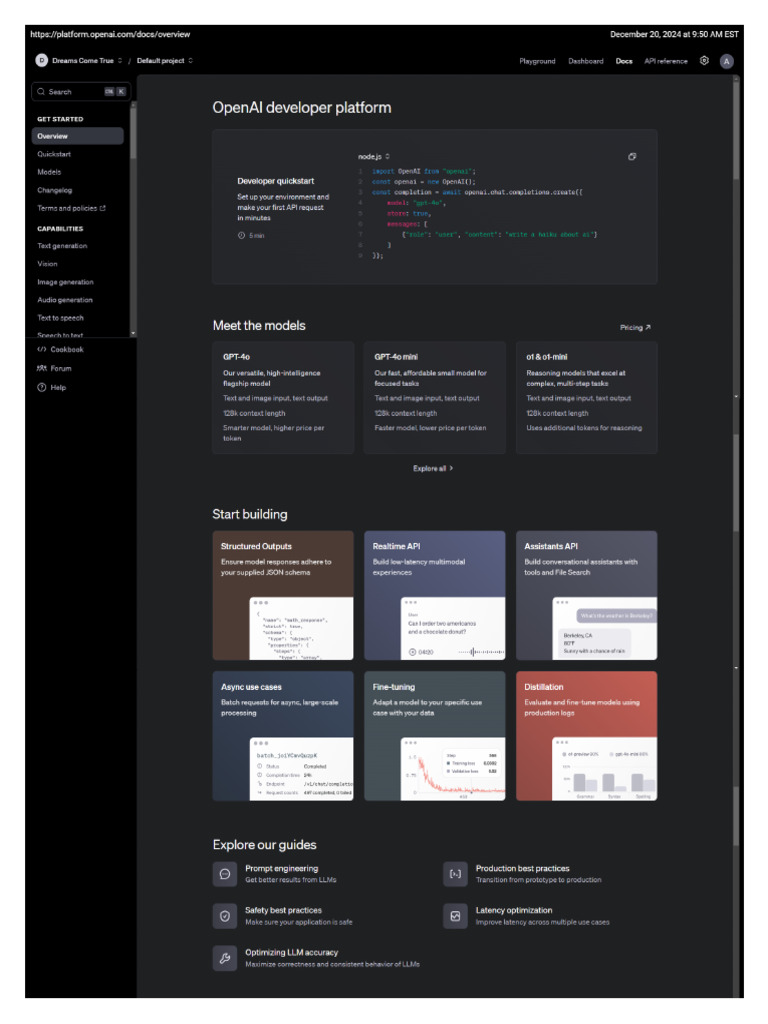 Platform Openai Docs Overview 2024 12 20 09 - 50 - 06 | PDF