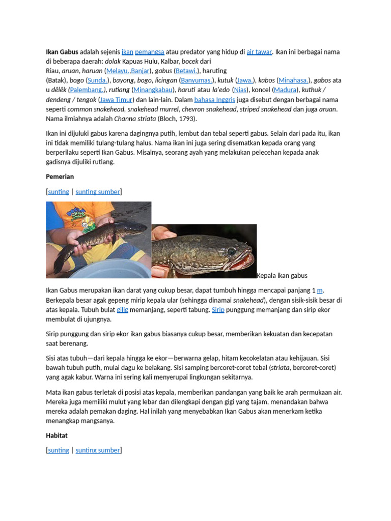 Ikan Gabus | PDF