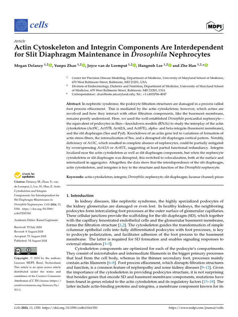 cells-13-01350 | PDF | Cytoskeleton | Integrin