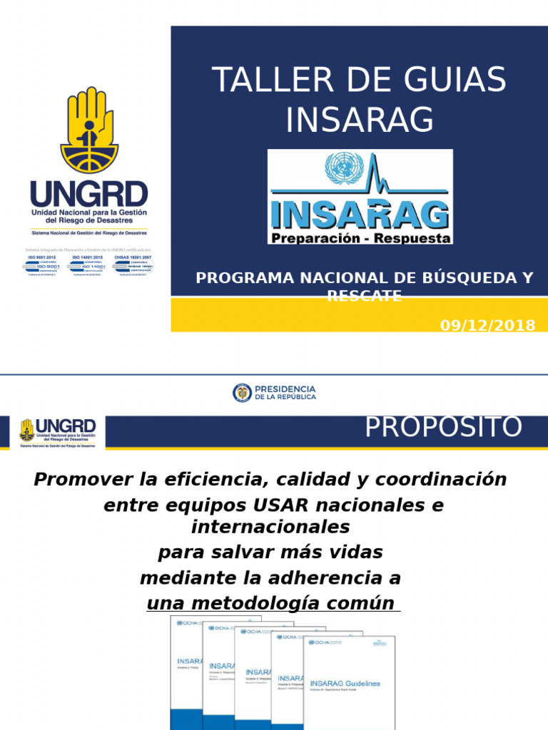 Guias INSARAG | PDF | Servicios de emergencia | Defensa Civil