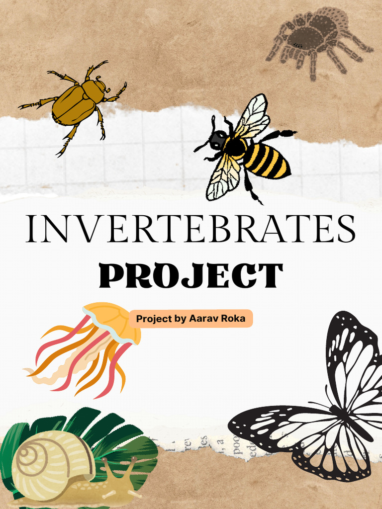 Science Project Invertebrates | PDF
