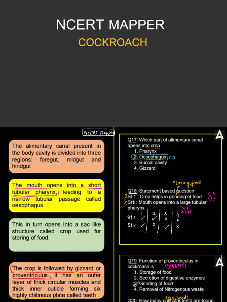 Ncert Mapper Frog | PDF