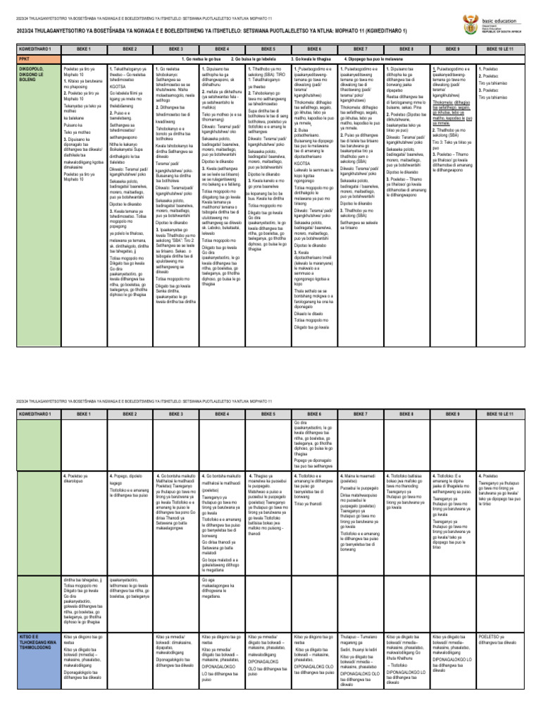 1.060 ATP 2023-24 Gr 11 Setswana FAL final | PDF