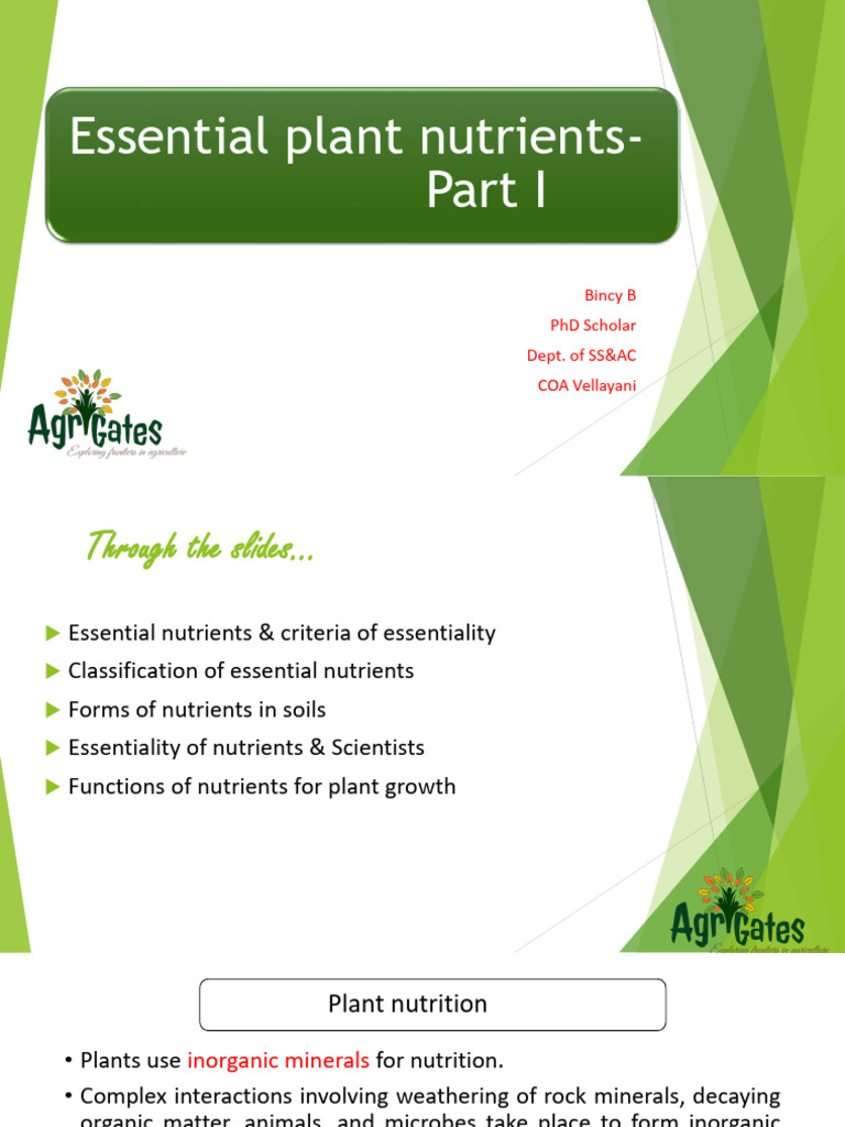 Essential Plant Nutrients-: Bincy B PHD Scholar Dept. of Ss&Ac Coa Vellayani | PDF | Plant ...