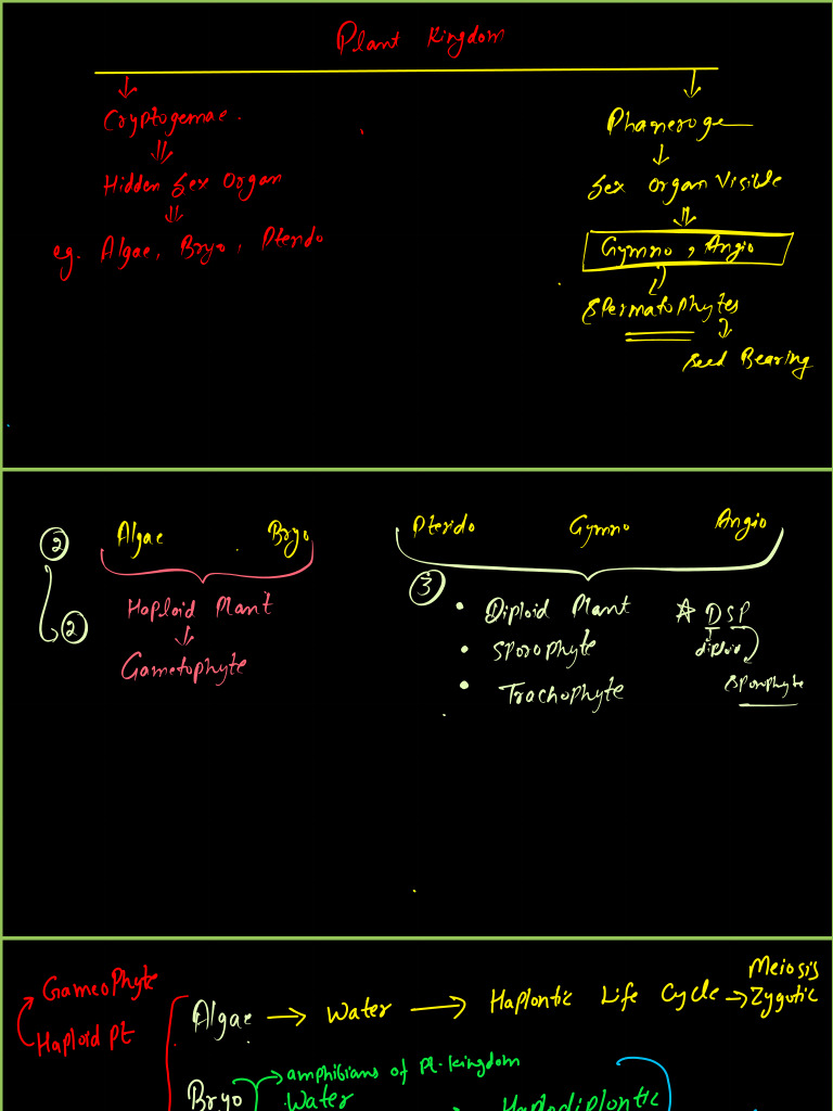 Algae Pdf