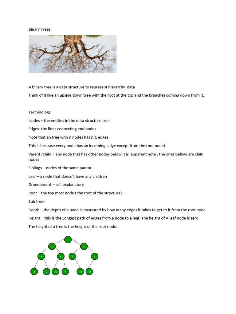 Binary Trees | PDF