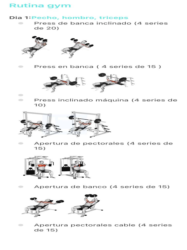 Rutina Gym | PDF