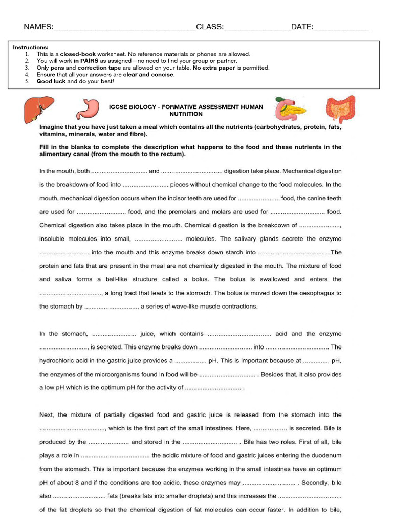 G10 Human Nutrition Worksheet | PDF