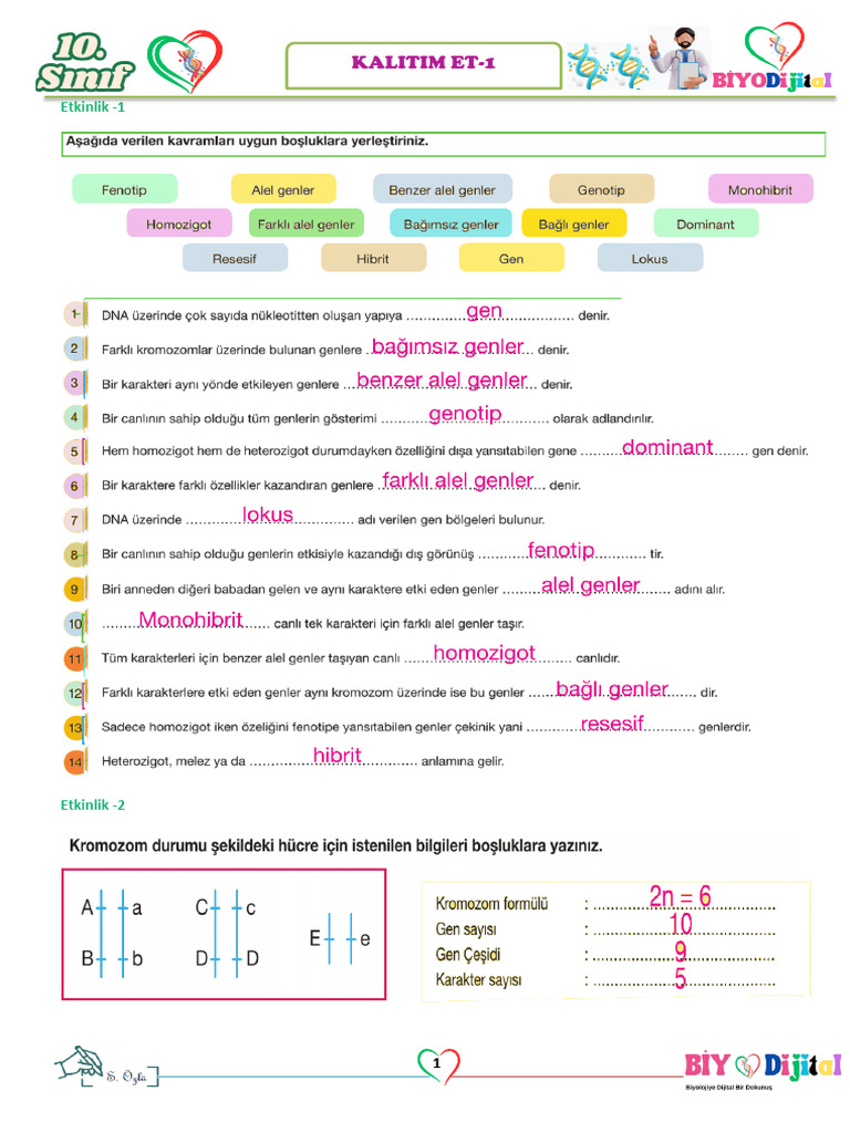 10 Sinif Kalitim Et-1 CVP | PDF
