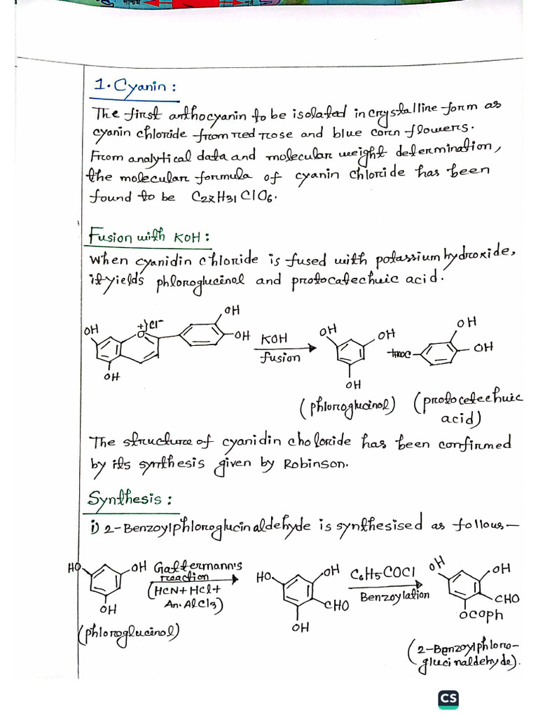 MM- Assignment | PDF
