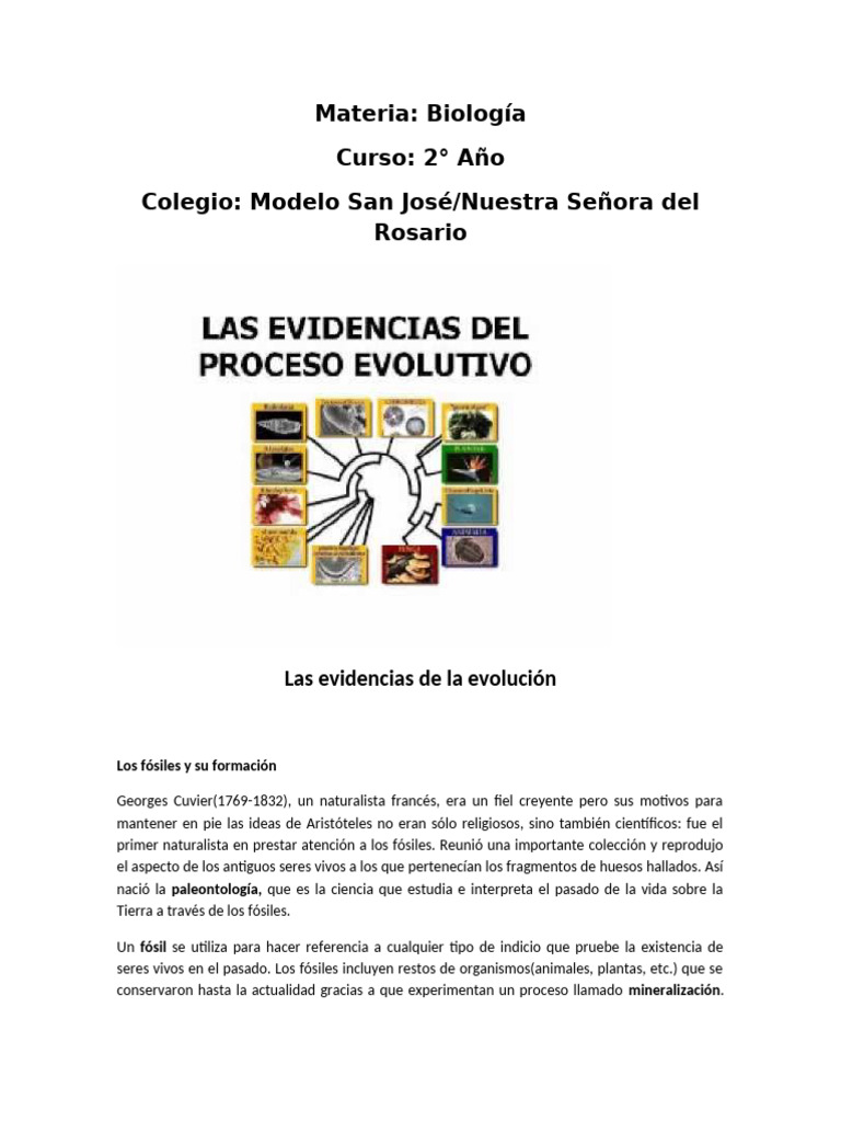Evidencias de la evolución | PDF | Fósil | Evolución