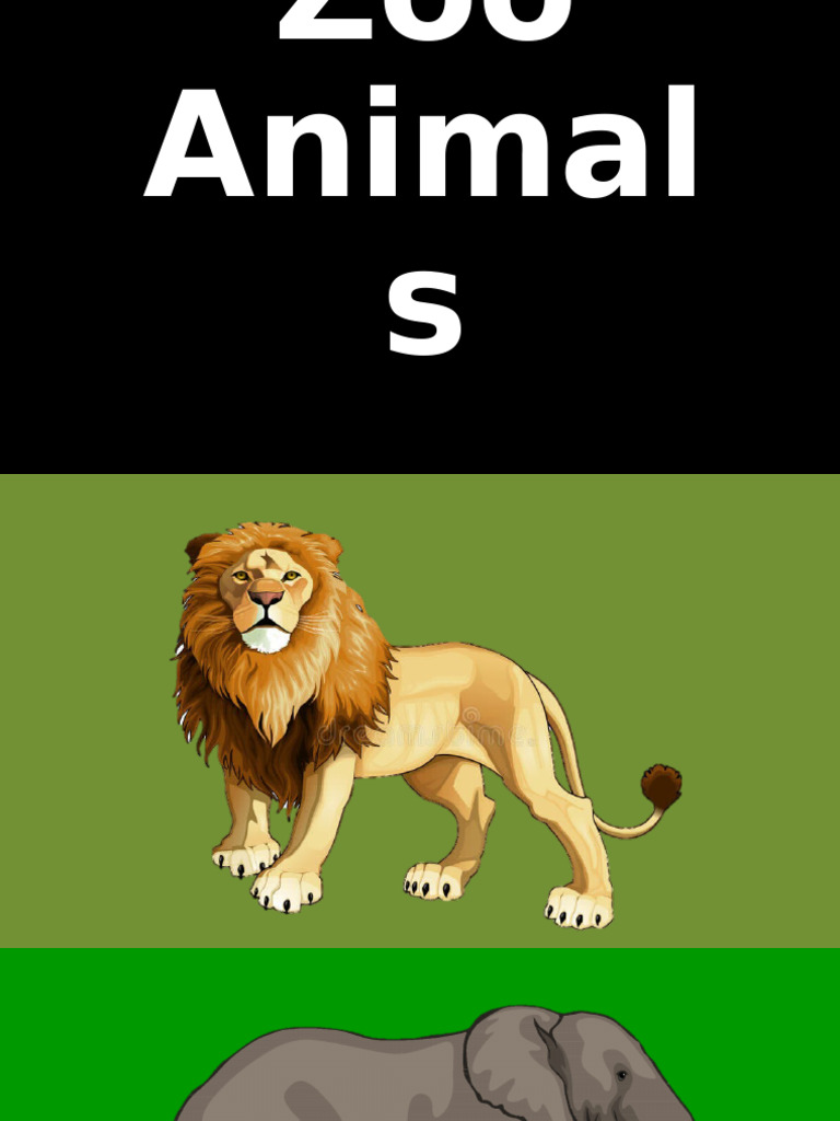 Zoo Animals | PDF