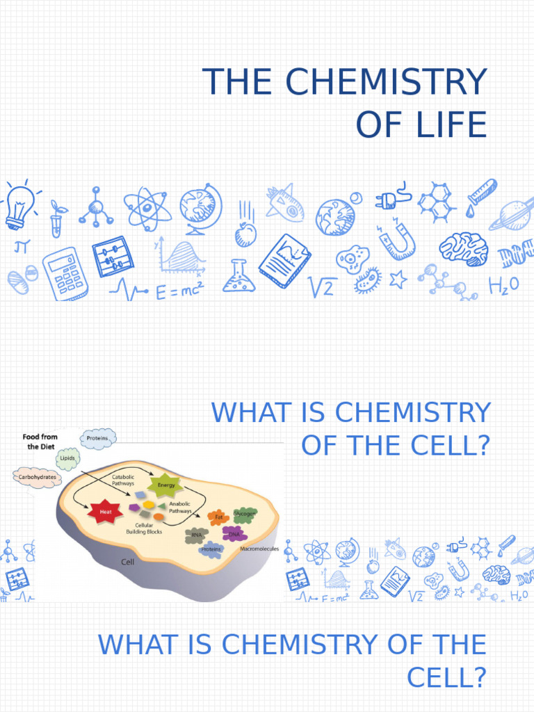 1 Chemistry of Life | PDF | Carbohydrates | Lipid