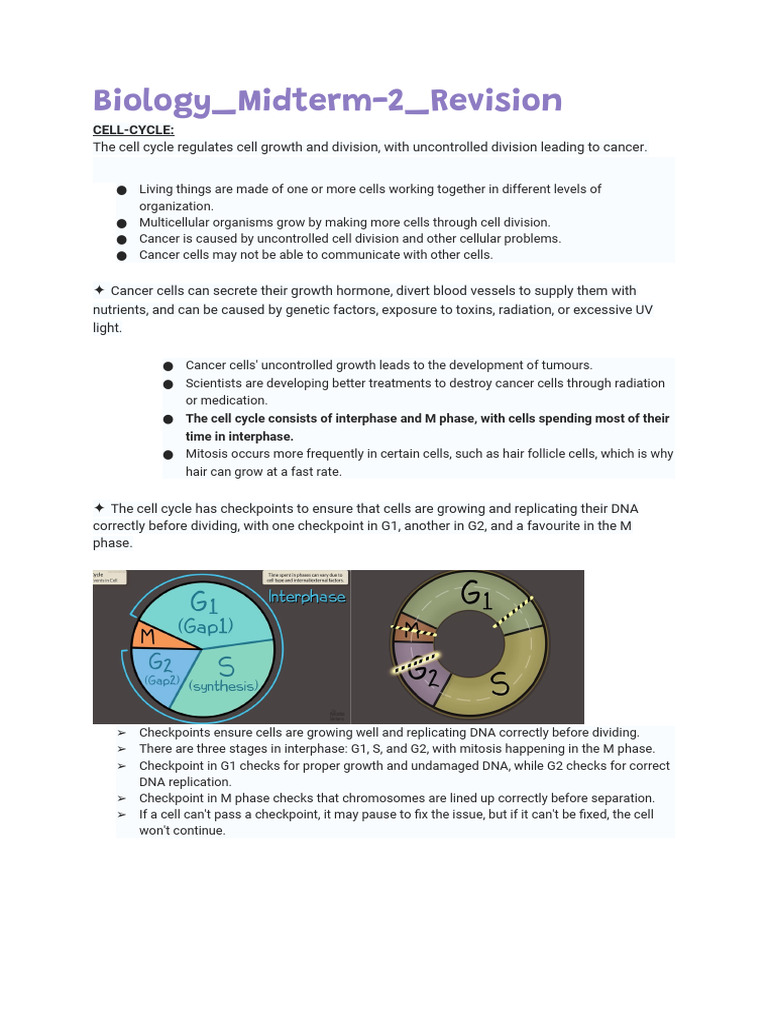 Biology - Cell Cycle - IB MYP | PDF