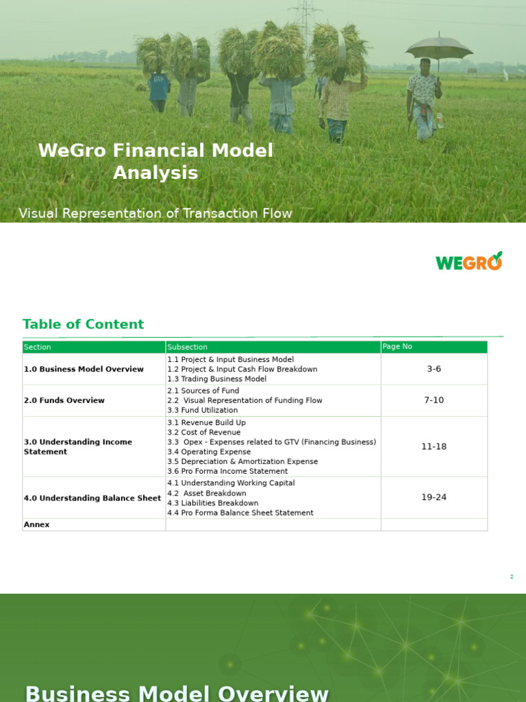 WeGro Financial Model Breakdown | PDF | Working Capital | Equity (Finance)