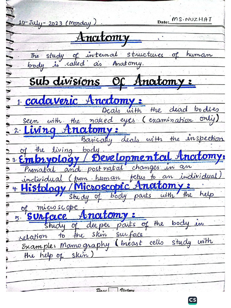 Anatomy Ms Nuzhat Complete | PDF