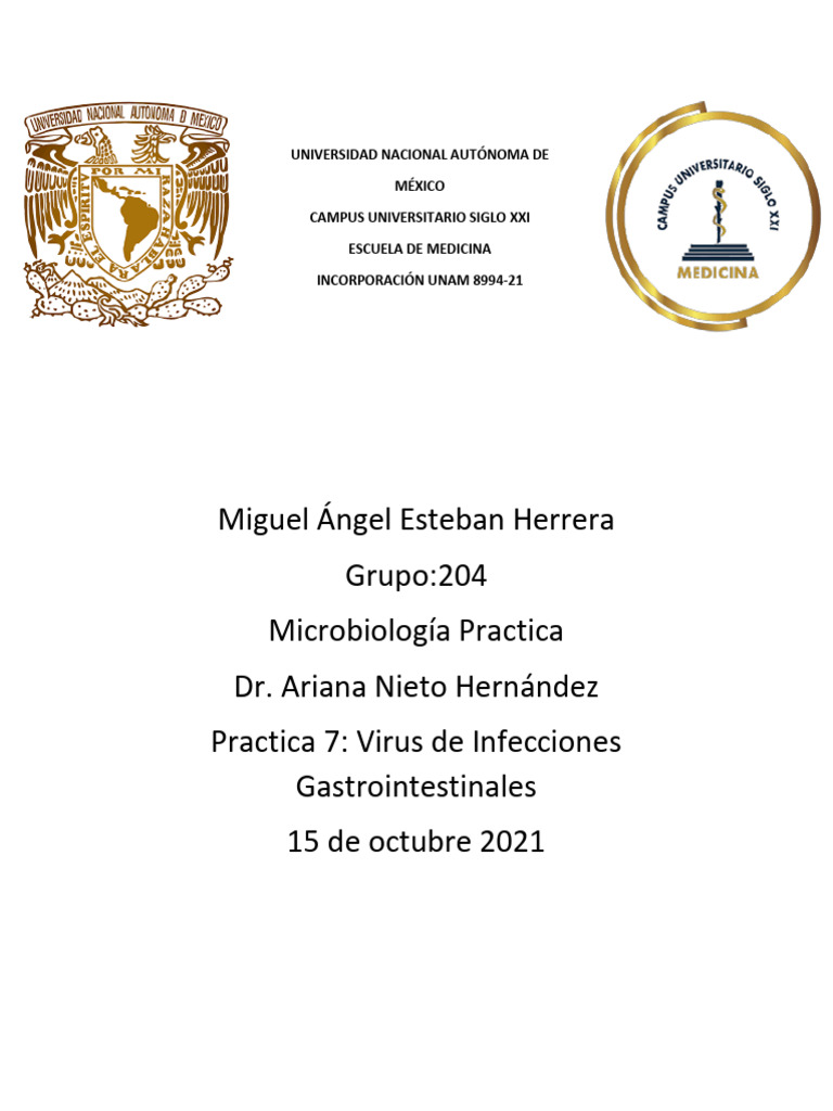 Practica 7 Mic | PDF