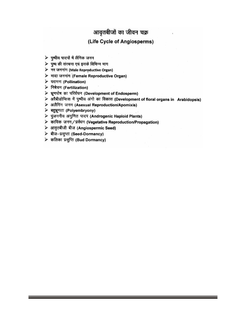 Life Cycle of Angiosperms - Class 11 Biology Hindi Medium Notes | PDF Life Cycle of Angiosperms - Class 11 Biology Hindi Medium Notes | PDF