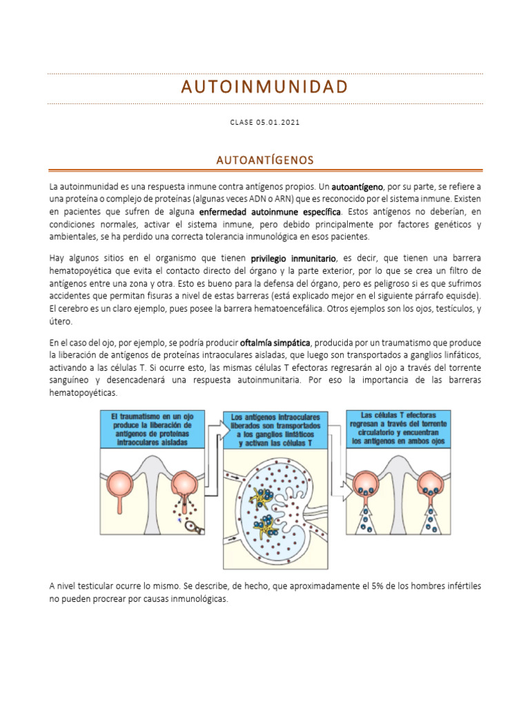 Autoinmunidad | PDF | Sistema inmune | Enfermedad autoinmune