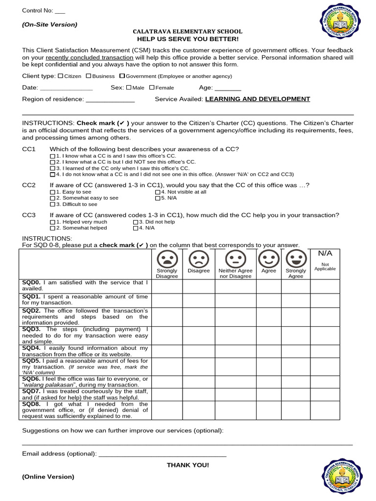 CSM-SURVEY-ENGLISH | PDF