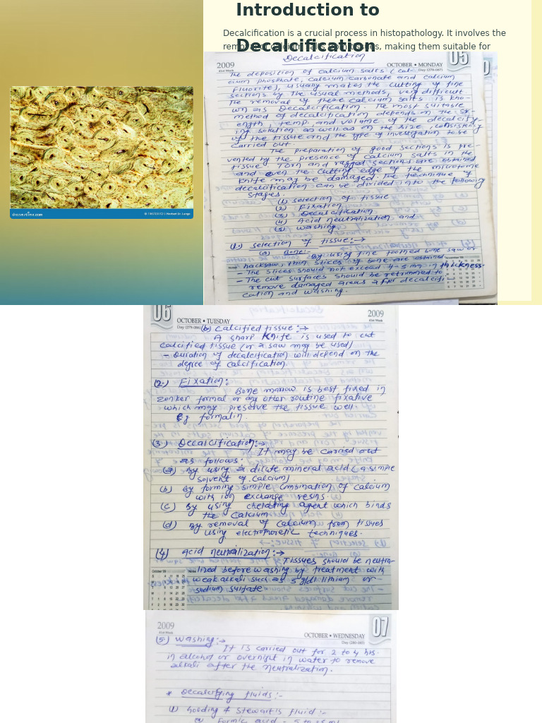 Introduction to Decalcification | PDF | Histopathology | Fixation (Histology)
