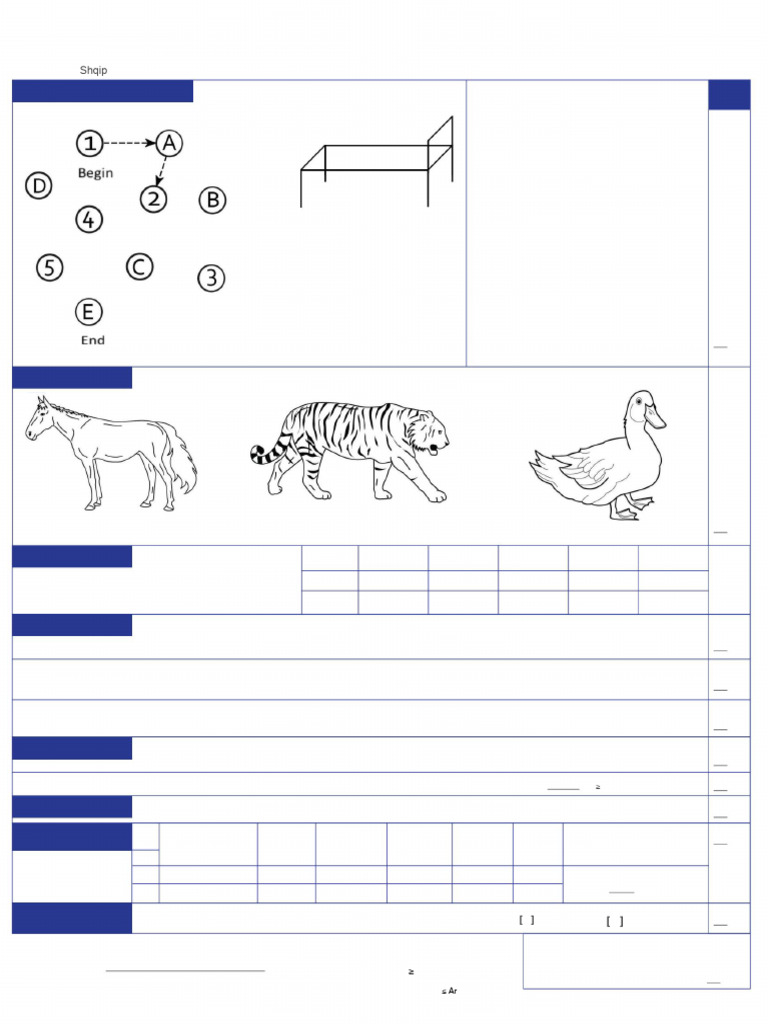 MoCA 8.3 Albanian Test 2018 | PDF
