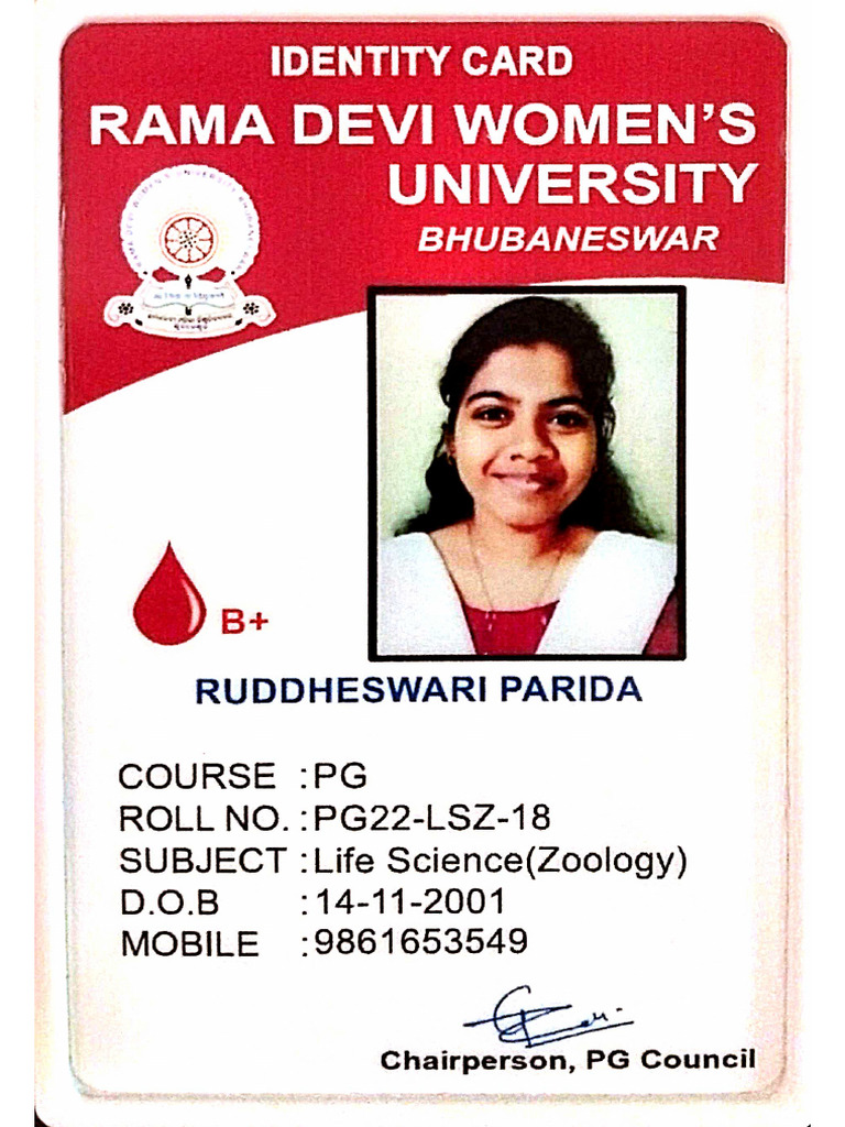 Identity Card | PDF