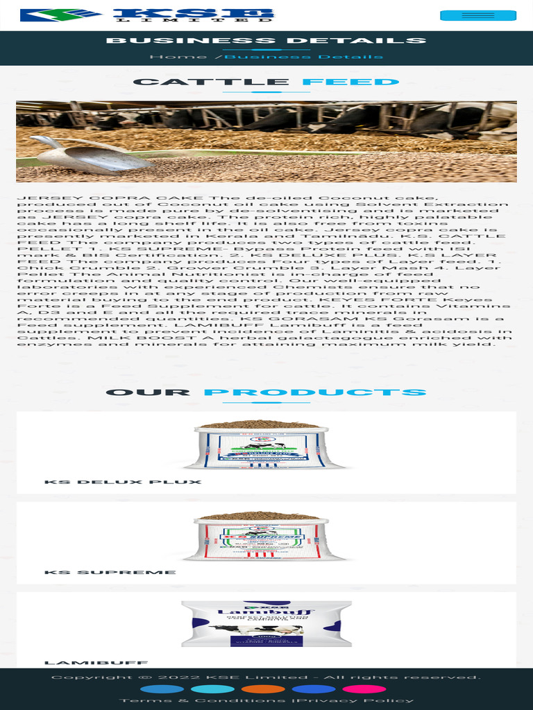 KSE Limited | PDF