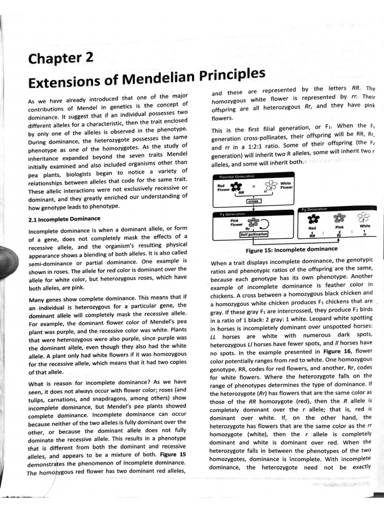 C-2 Extensions of Mendelian Principles | PDF