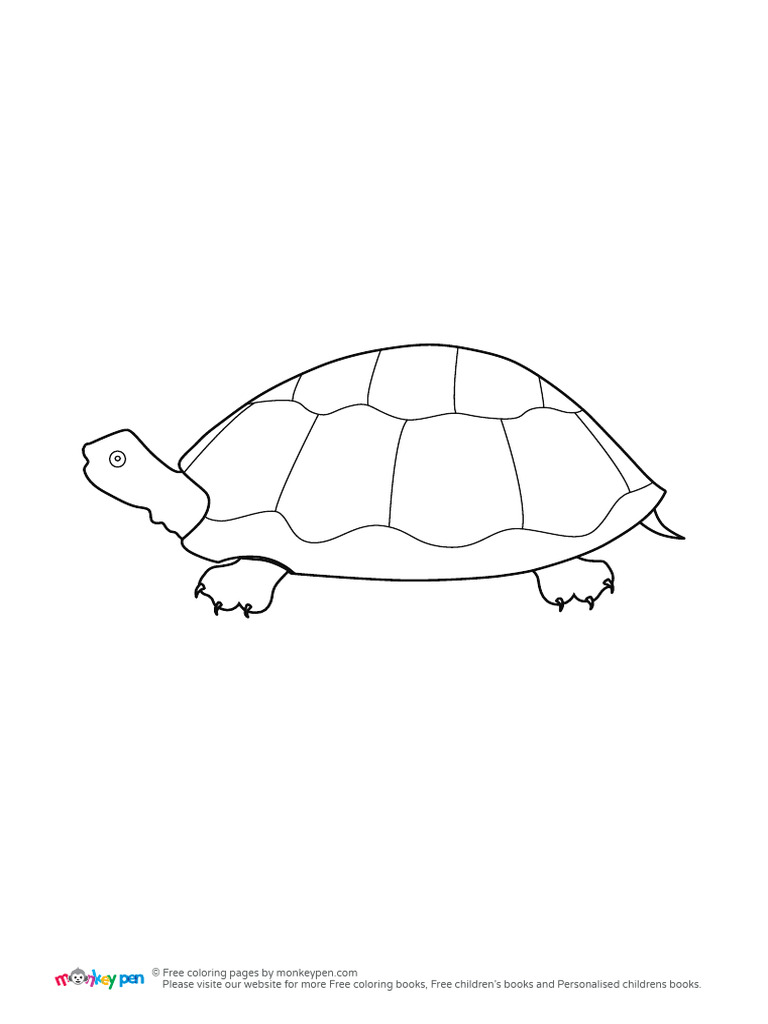 05 Tortoise Colouring Picture | PDF