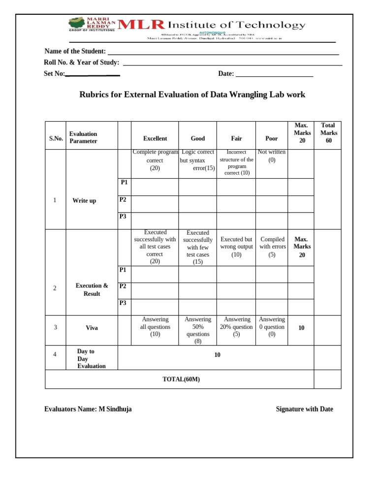 DW Lab External Rubrics | PDF