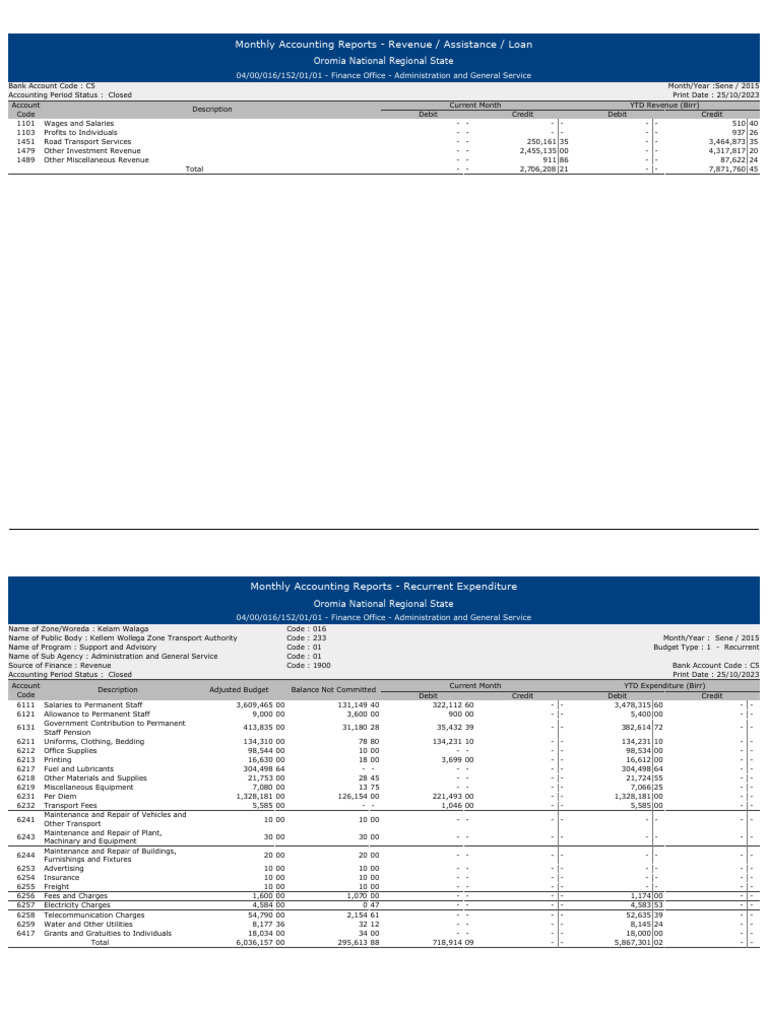 Trial Balance Summary - en (C5) | PDF