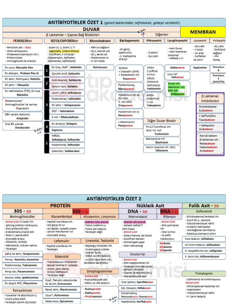 TUS Tum Antibyotikler OZet | PDF