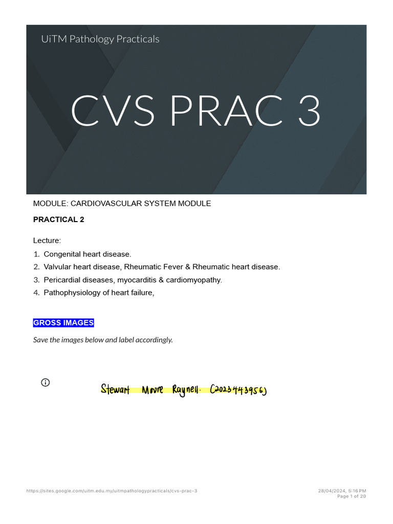 UiTM Pathology Practicals - CVS PRAC 3 | PDF | Heart Valve | Congenital Heart Defect