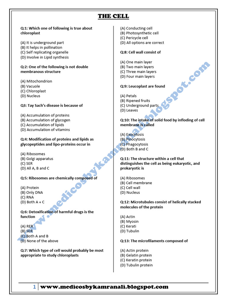 THE CELL.pdf | PDF | Cell (Biology) | Chloroplast