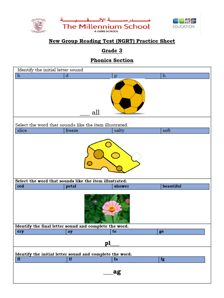 Holiday H.W NGRT - Practice sheet -2 | PDF