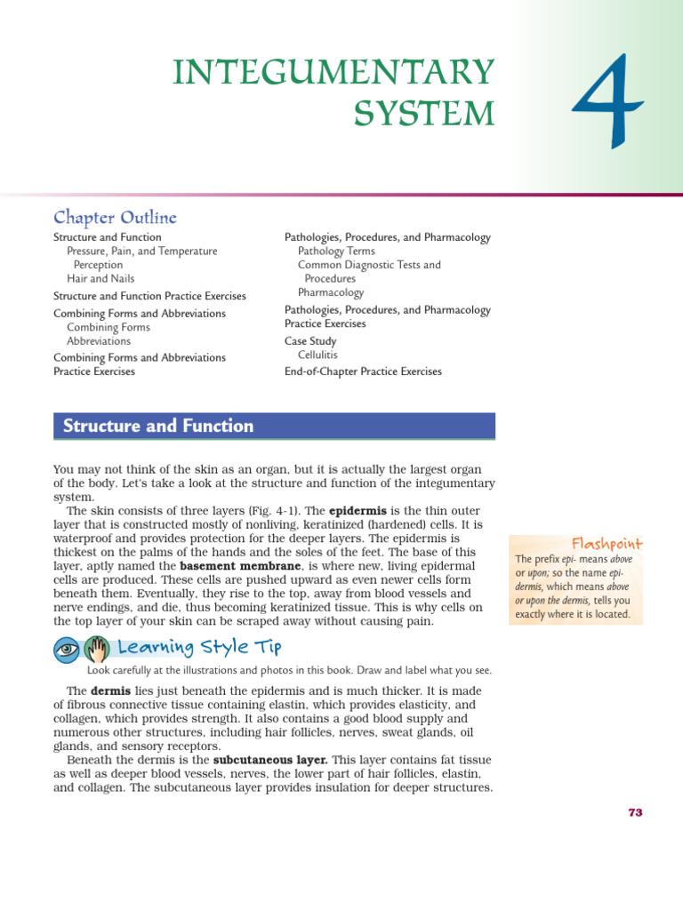 Medical Terminology in Flash - CH 4 Integumentary System | PDF ...