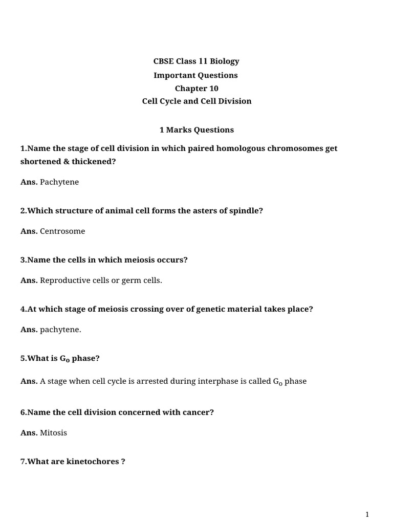 Ch Cell Cycle Wrk Sheet | PDF | Meiosis | Mitosis