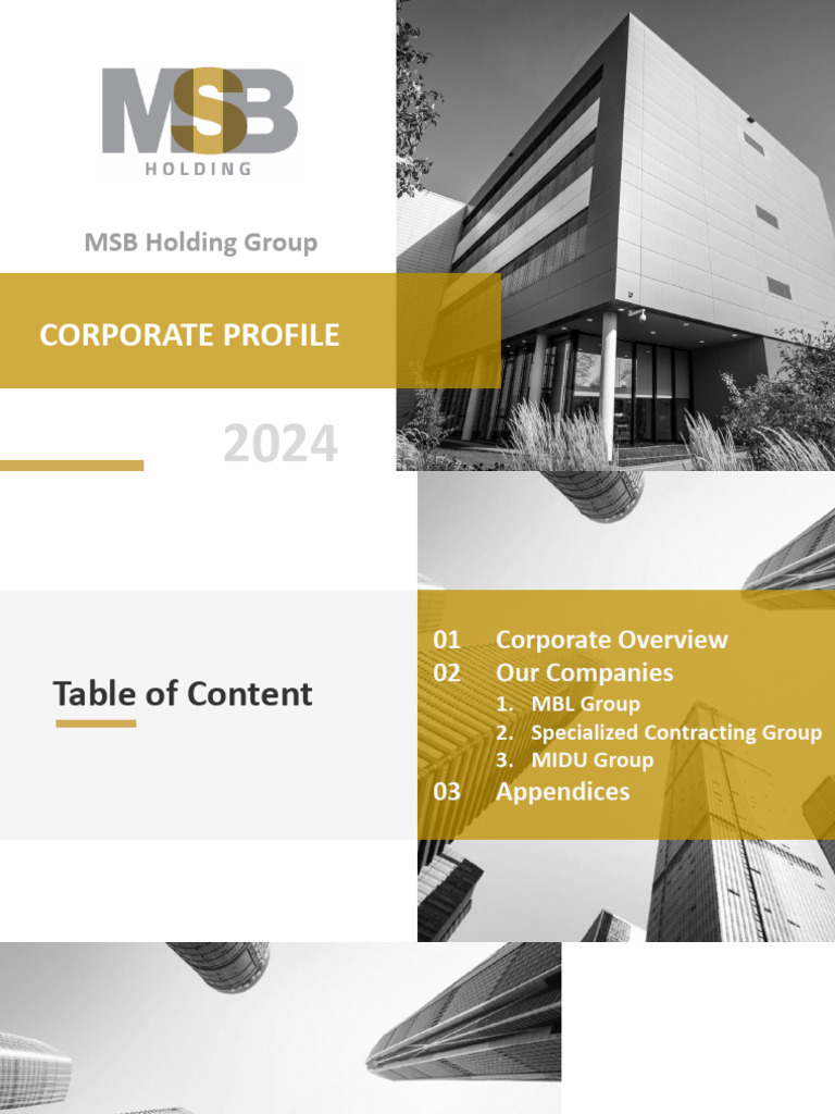MSB Holding: Saudi Arabia's Growth Leader | PDF | Natural Gas | Economies
